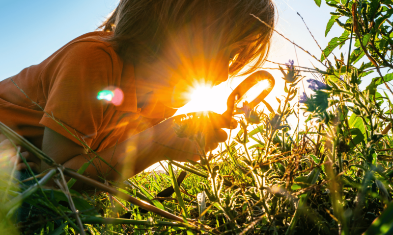 Become a Judge - Keep Australia Beautiful NSW